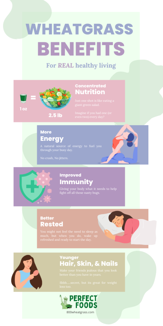 1 LB Fresh Organic Wheatgrass | Buy Wheatgrass Perfect Foods