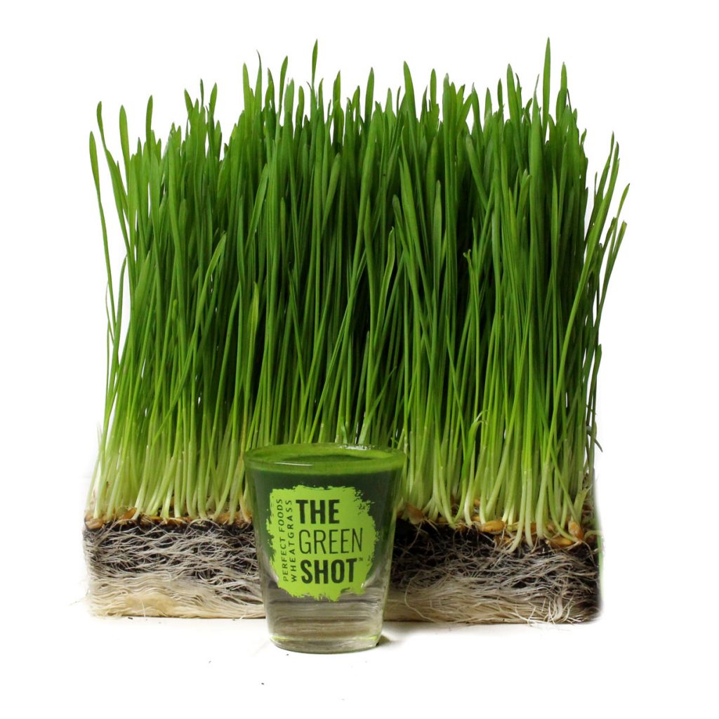1 LB Fresh Organic Wheatgrass | Buy Wheatgrass Perfect Foods