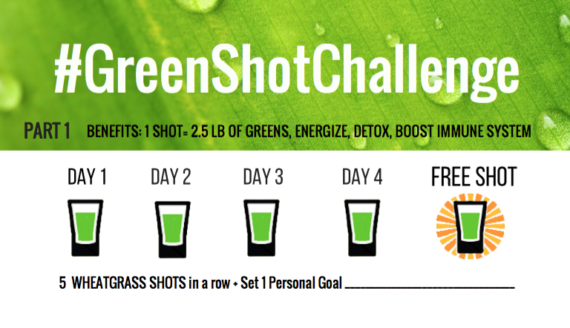 Take The Green Shot Challenge - We Dare You! | 800wheatgrass.com