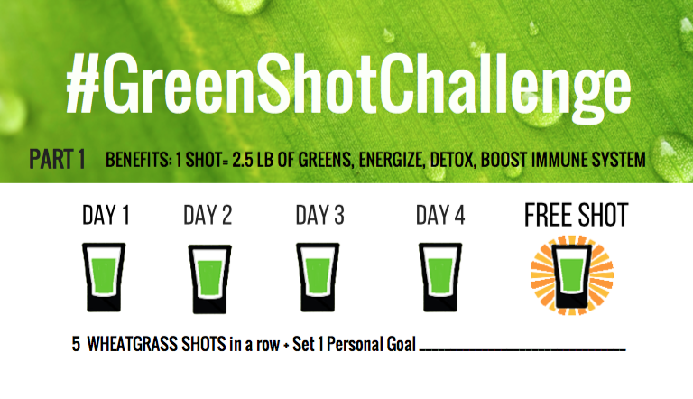 Take The Green Shot Challenge - We Dare You! | 800wheatgrass.com