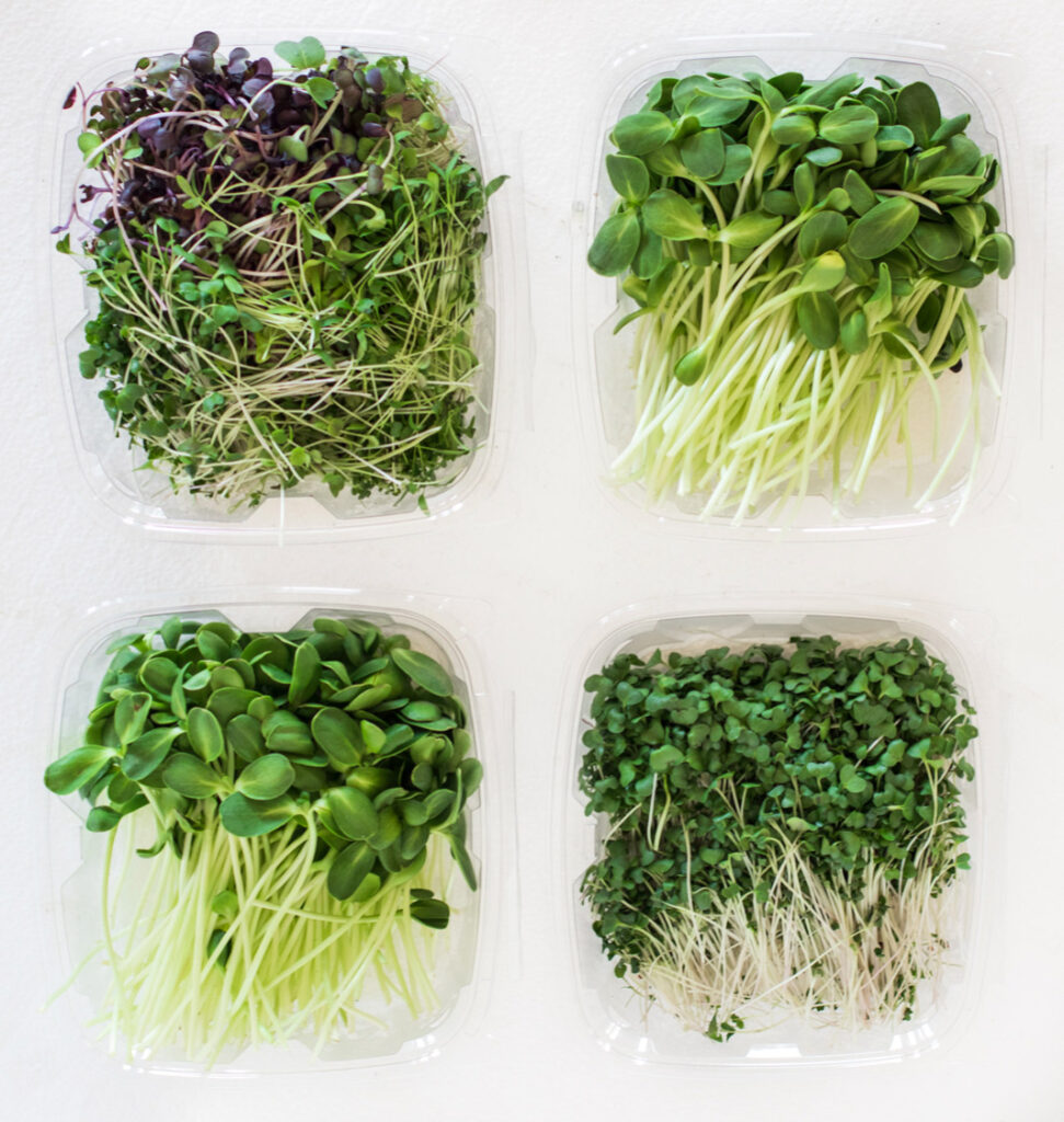 Microgreens Subscription Package (EOW - SFlb+Plb+B+C) | 800wheatgrass.com