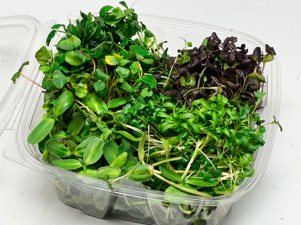 Microgreens Subscription (Local-Weekly-Large Mix) | 800wheatgrass.com