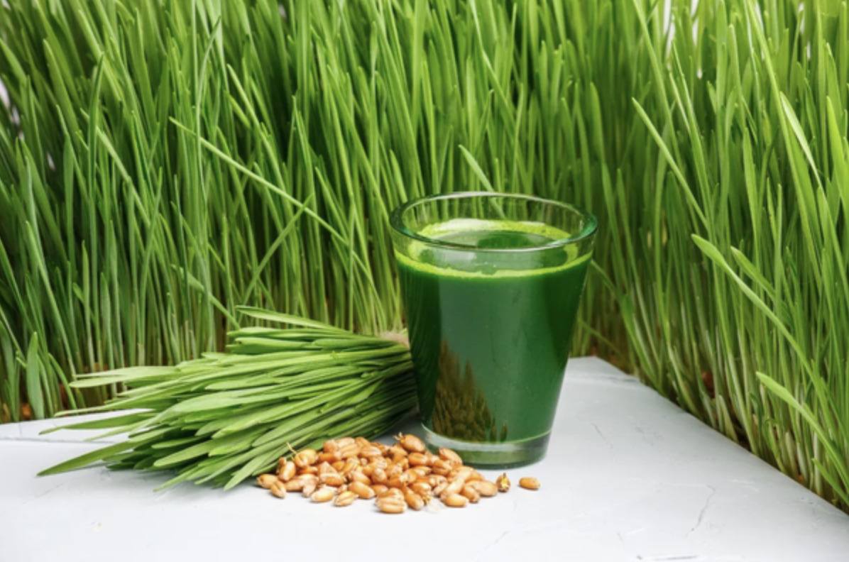 Wheatgrass and Microgreens in New York | Perfect Foods